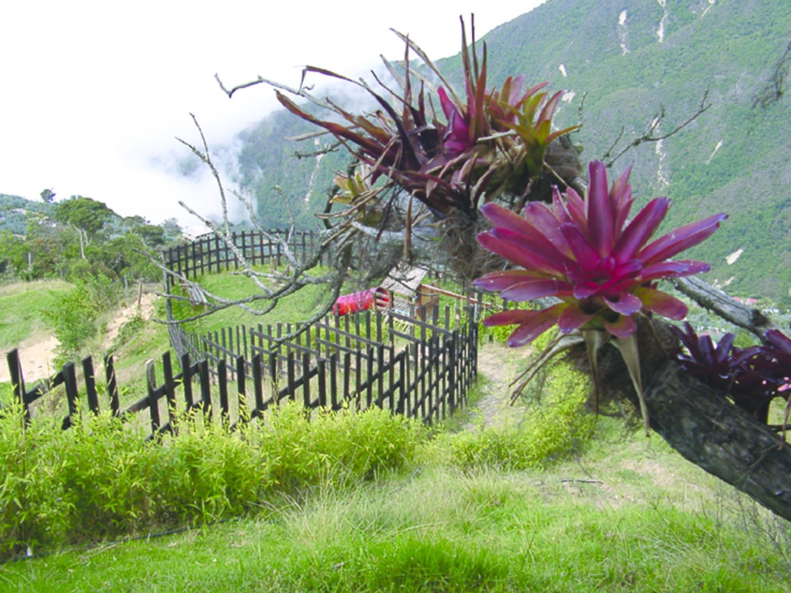 TURISMO EN VARGAS: GALIPAN LUGAR DE ENSUEÑO