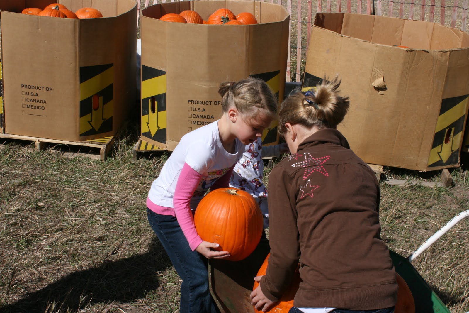 Egbert Family Blog: Fall Break Fun