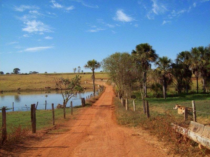 Fazendas em Goiás: Fazenda em goiás município de Indiara