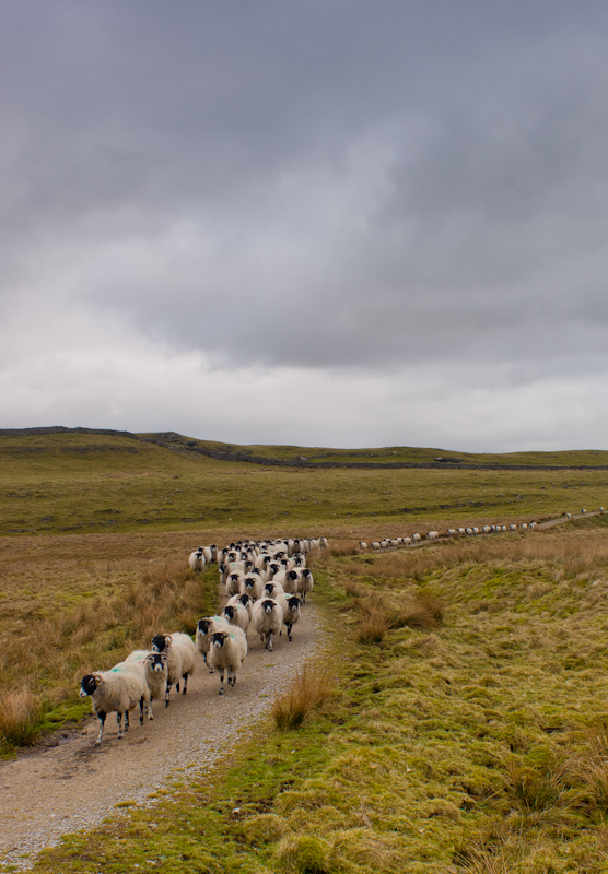 Walk The UK | Fell Walker Routes: A Run From Settle