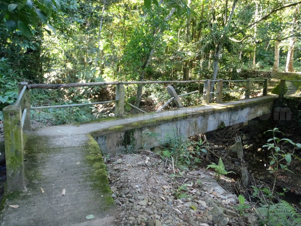 Quirino - Chasing Maddela Waterfalls | Blogs, Travel Guides, Things to ...