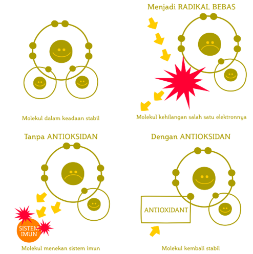 Radikal Bebas, Pengoksidaan, Anti Oksida | Chenta Hati NuNa