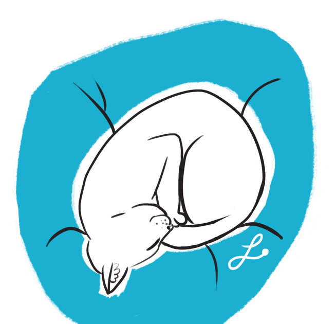 Day 2: Favorite Animal