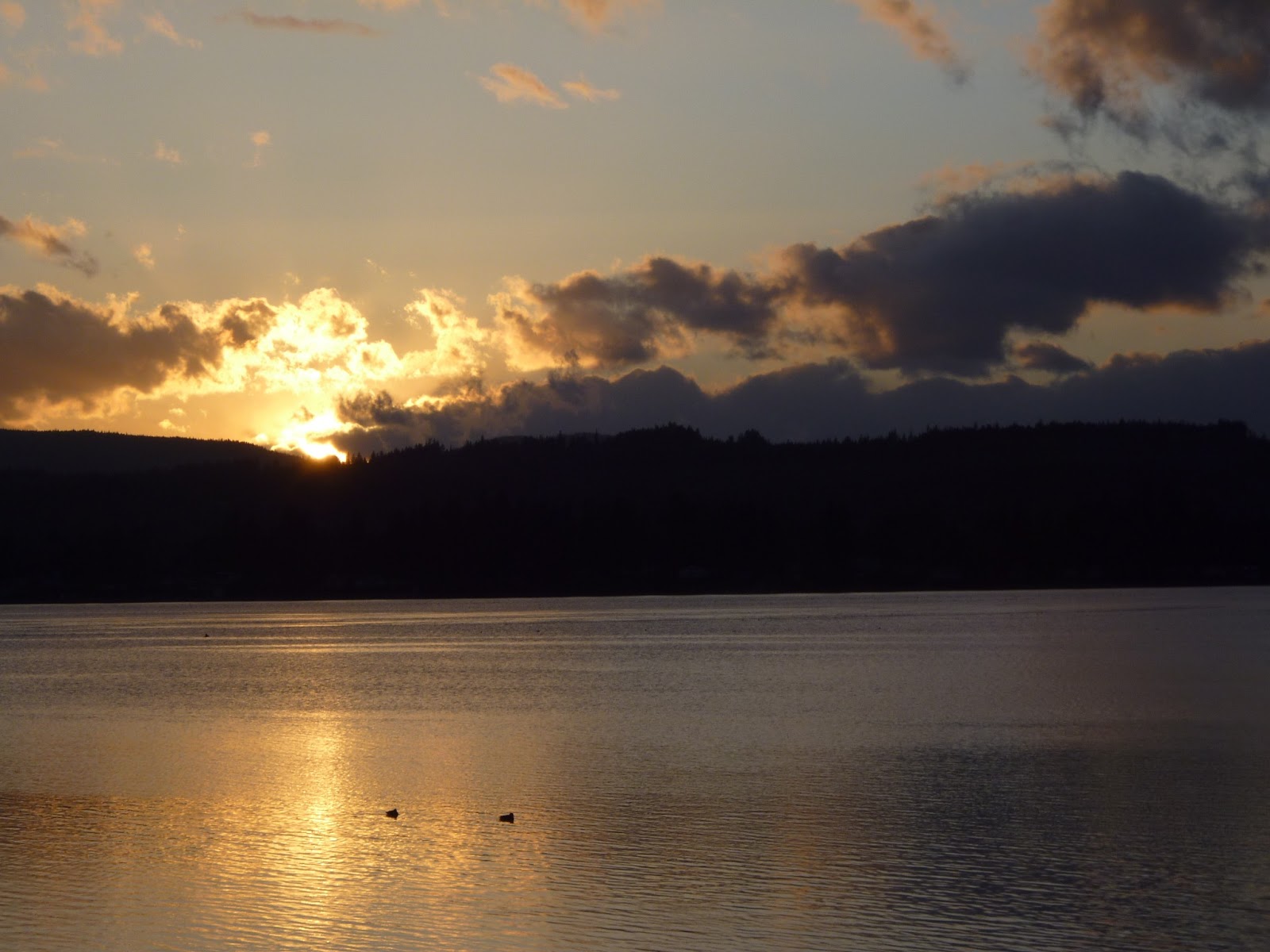 Sam Bennion Hates Everything