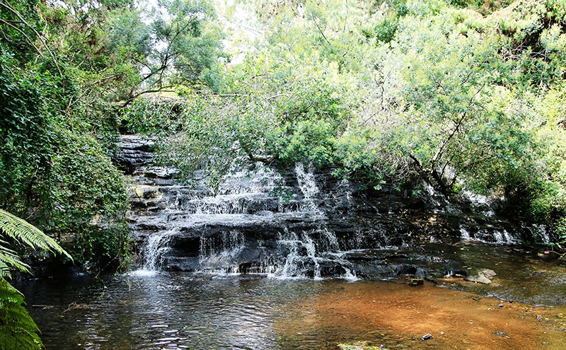 Tamilnadu Tourism: Pambar Falls (Liril or Vatakanal), Kodaikanal