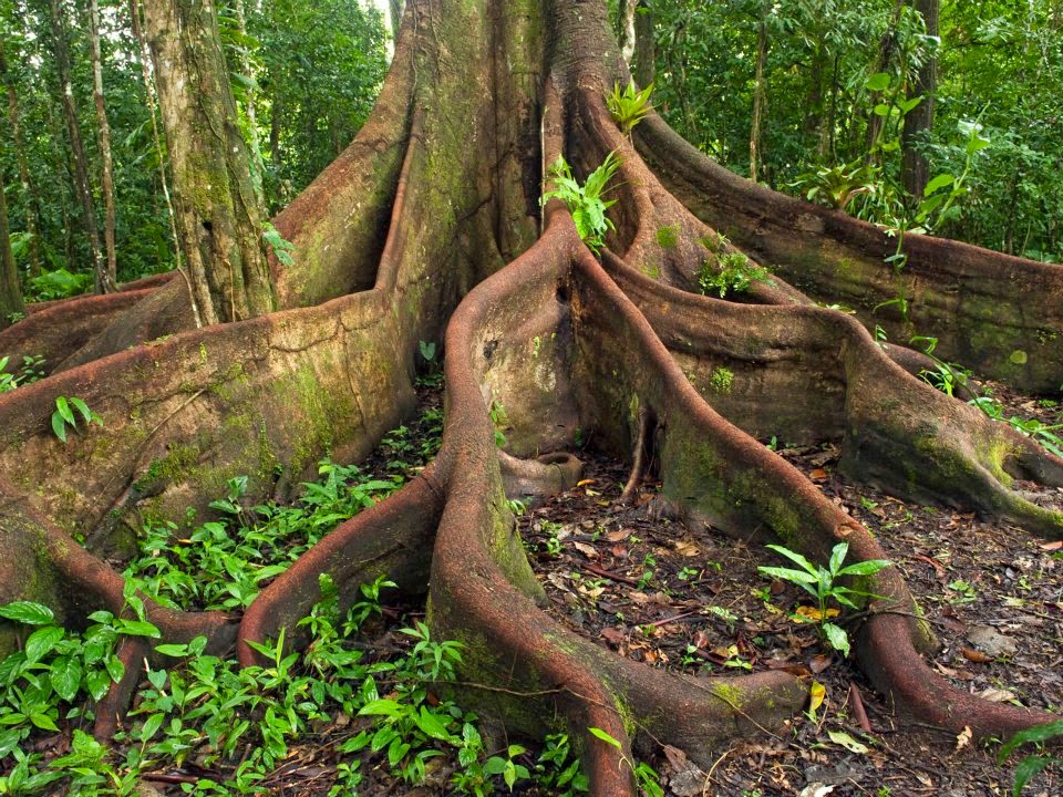 Peru World: MYTHS & LEGENDS OF PERU