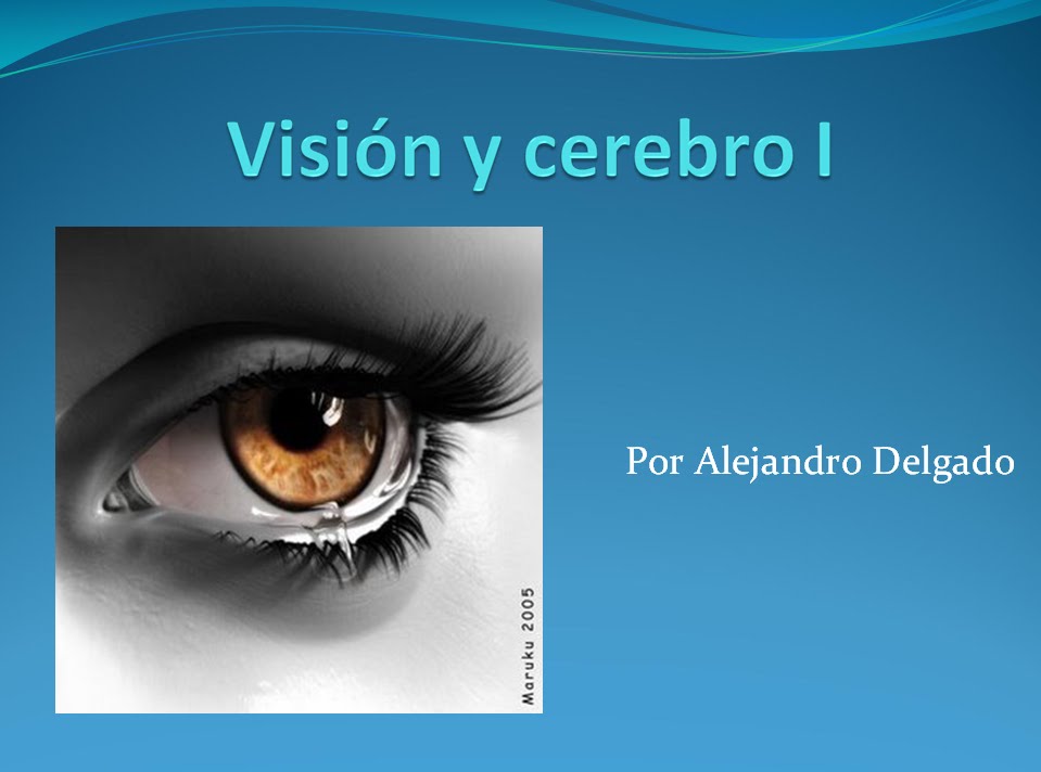Elementos de Psicofisiología: Visión y cerebro I