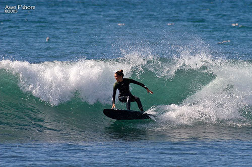 Backside Fish Surfing – Surfy Surfy