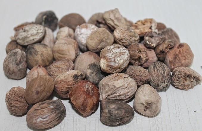 KOMODITI BIJI PALA, FULI & CENGKEH (NUTMEG, MACE & CLOVE) From North ...