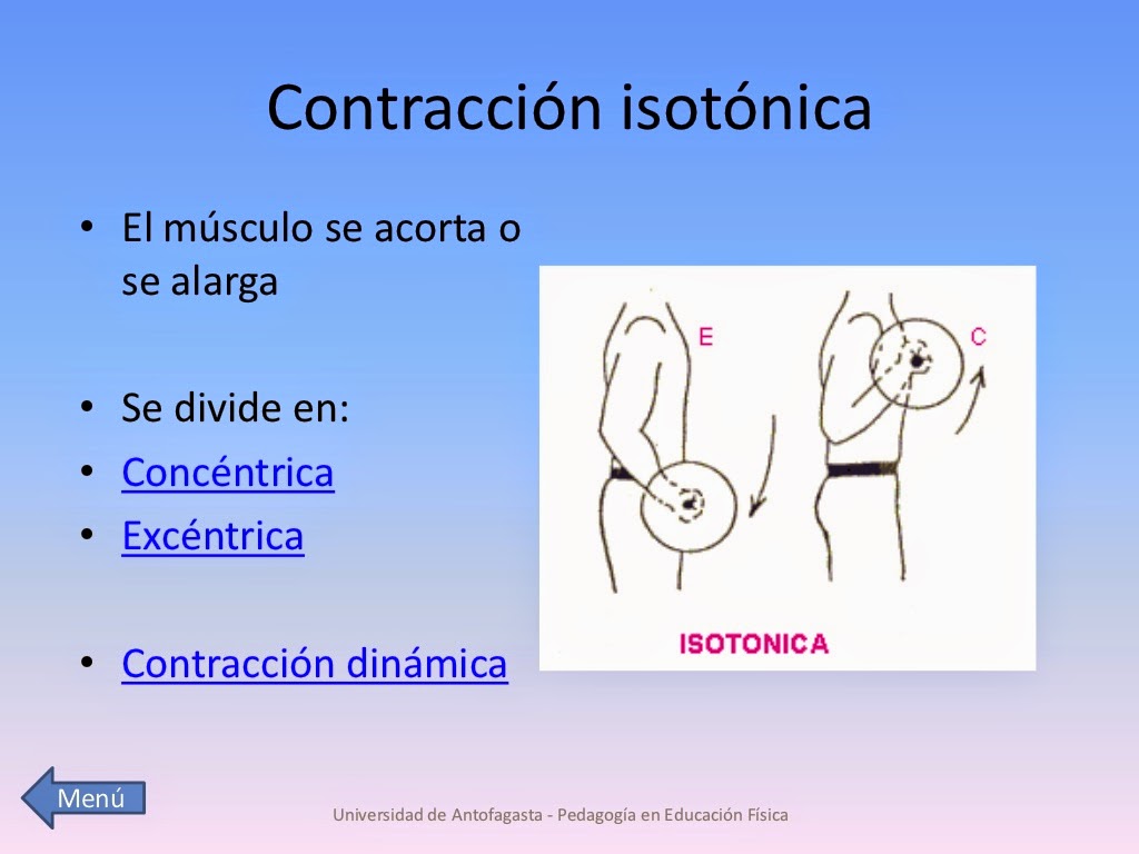 CONTRACCIÓN MUSCULAR