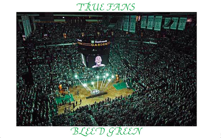 Bleed Green: Why You Should Like This Team