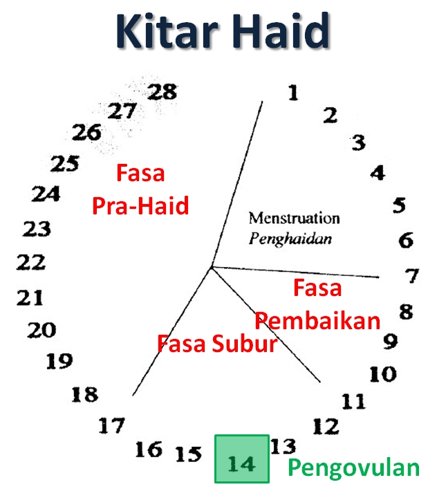 Kitar Haid Bagi Perempuan