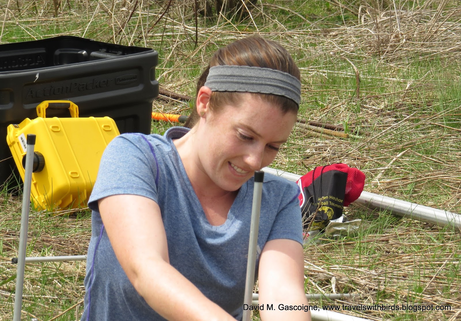 Installation of a MOTUS Tower at SpruceHaven - Travels With Birds