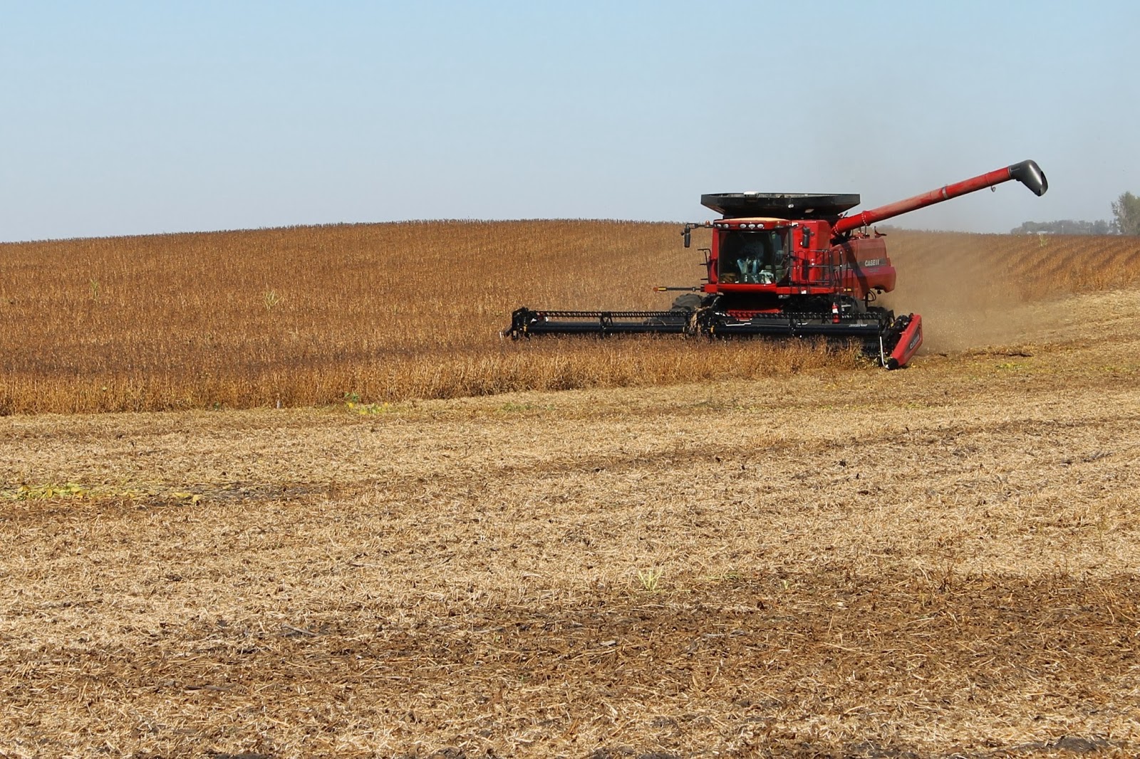 Corn, Beans, Pigs and Kids: Farm Friday