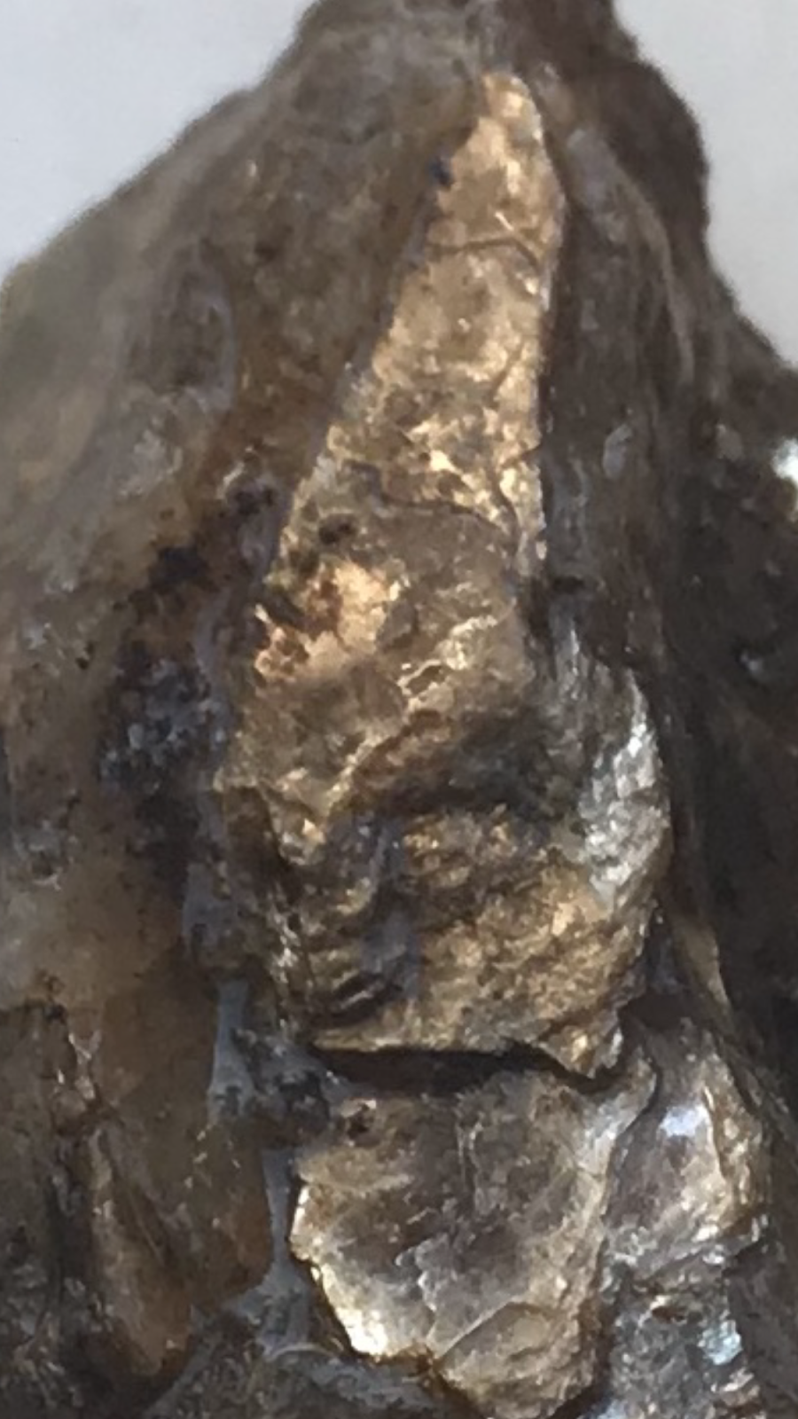 Pedras e Rochas - Fox Press™