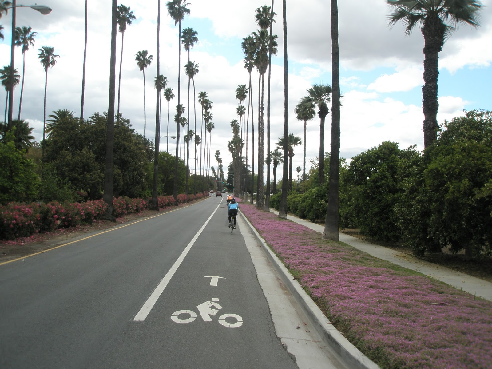 Cycling Dynamics: Riding Around Southern California