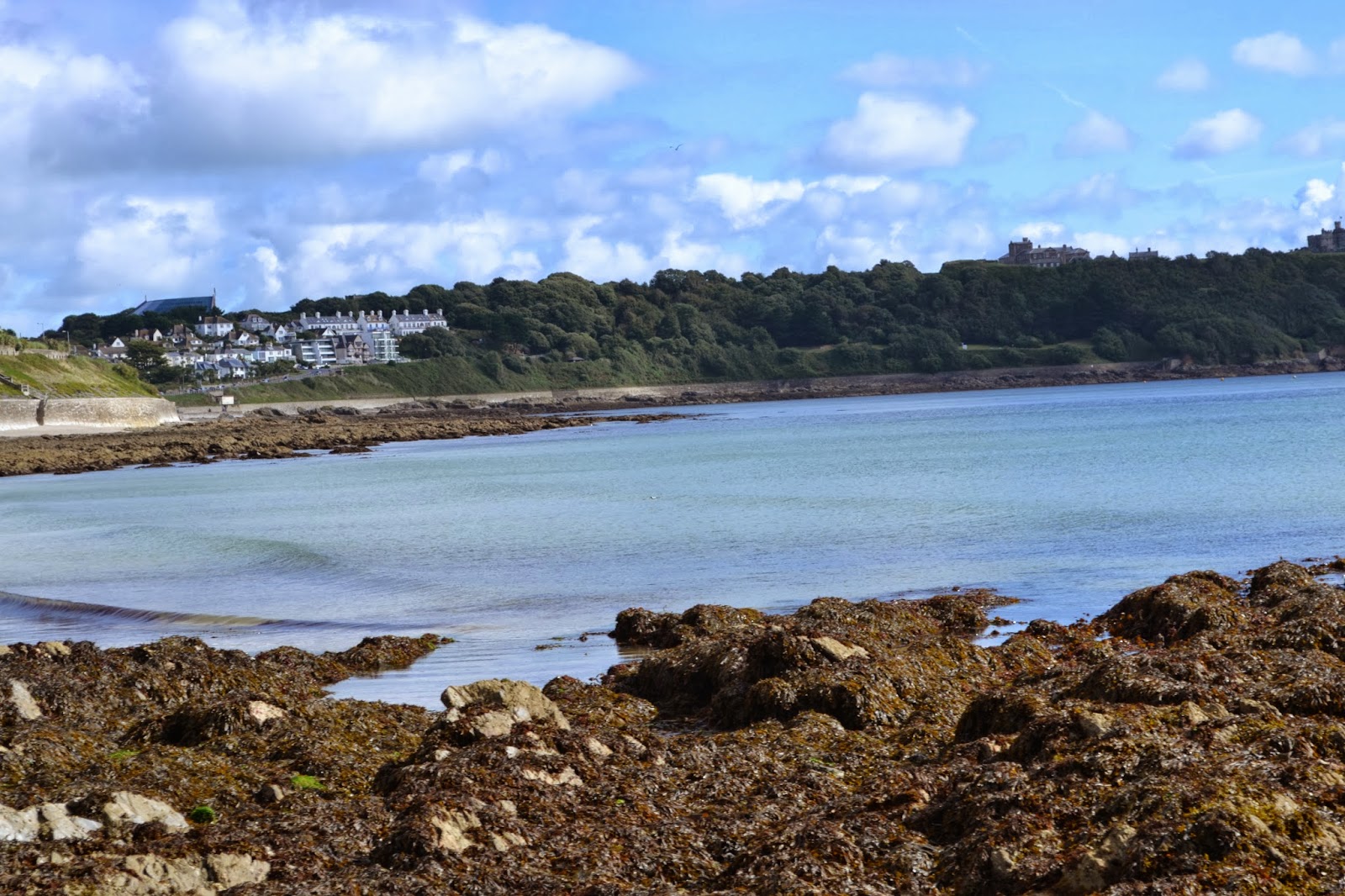 The Species List: Rockpooling at Gylly