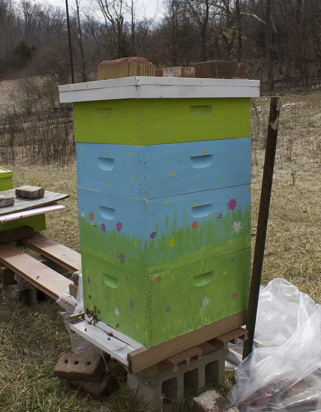 Rurification | Robin Edmundson: Frames of Pollen