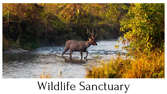 Manipur National Park and Wildlife Sanctuary