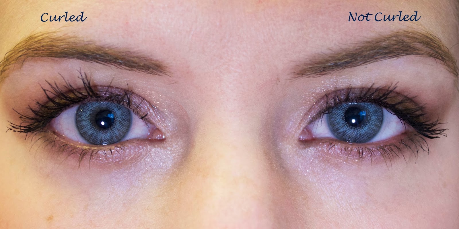 Kevyn Aucoin Eyelash Curler Review at Clinton Long blog