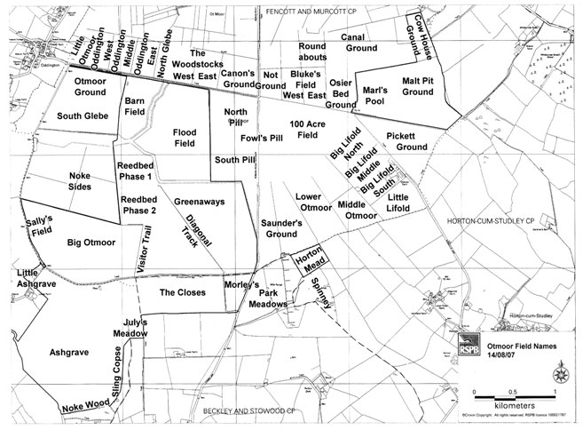 Otmoor Birding: Background Info & Access