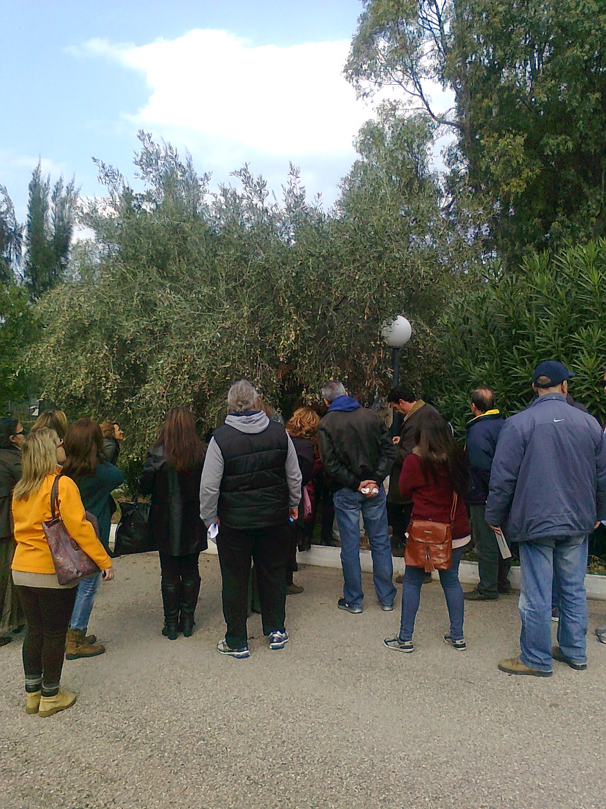 ΣΧΟΛΙΚΟΙ ΛΑΧΑΝΟΚΗΠΟΙ : ΟΙ ΚΗΠΟΙ ΤΩΝ ΣΧΟΛΕΙΩΝ ΤΗΣ Δ/ΣΗΣ Β/ΘΜΙΑΣ ΕΚΠ/ΣΗΣ ...