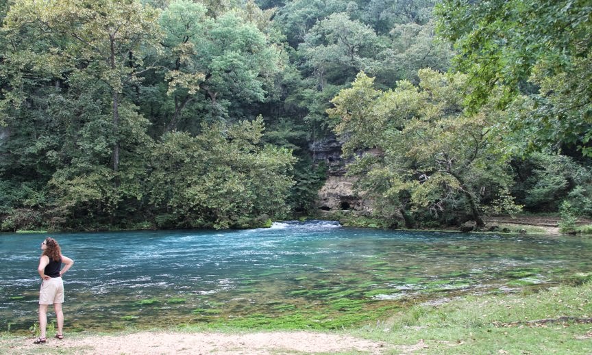 Stephen Bodio's Querencia: Big Spring