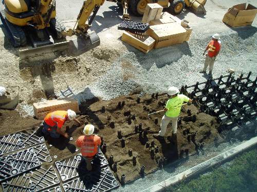 Shoreline Area News: Silva Cells - capturing and filtering water run ...