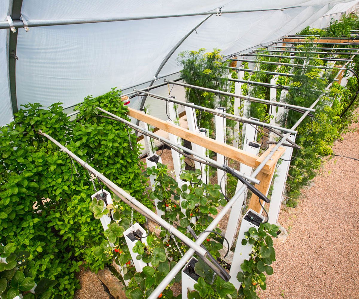 13 Vertical Farming Innovations That Could Revolutionize Agriculture