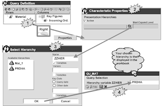 SAP BW Key Figures and Characteristics Continued - SAP ABAP