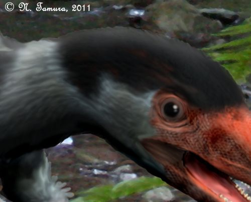 Paleoexhibit: Aristosuchus pusillus