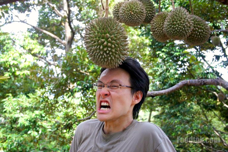 2011 Durian is on its way, are you eager to feast? | jacgy & cynthia