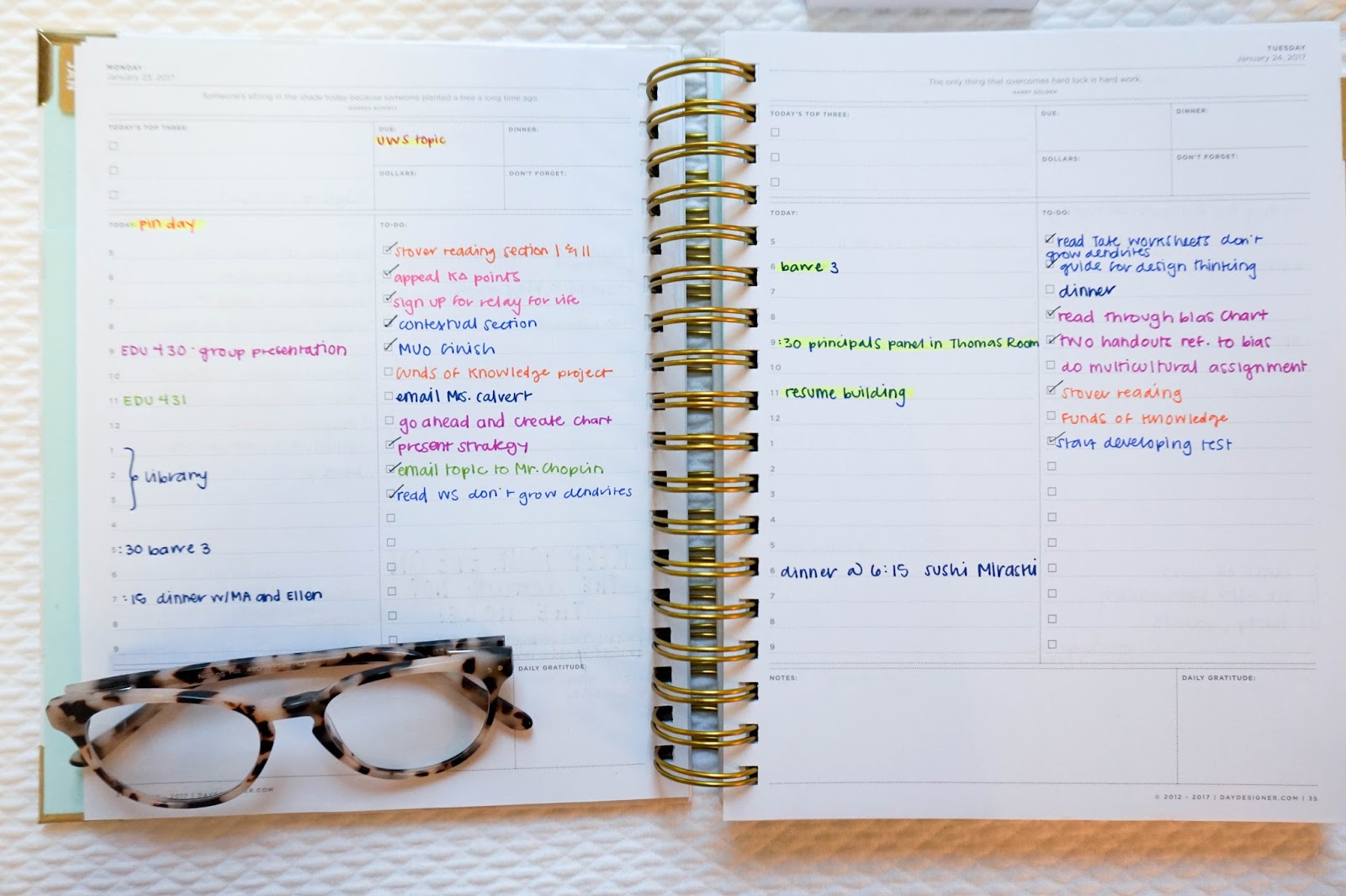 Day Designer (Planner) Organization