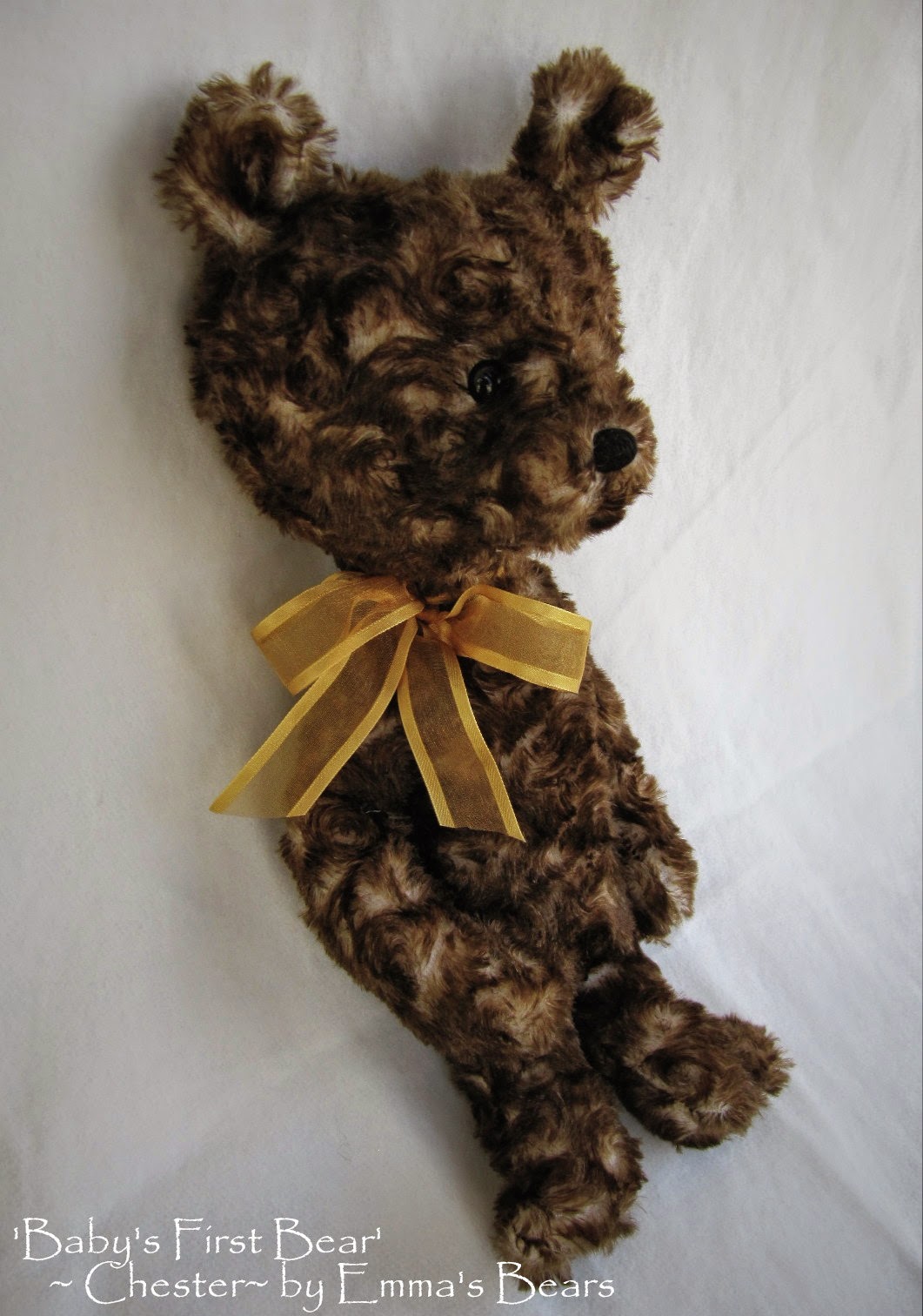 The Inner World of Emma's Bears: Baby's First Bear