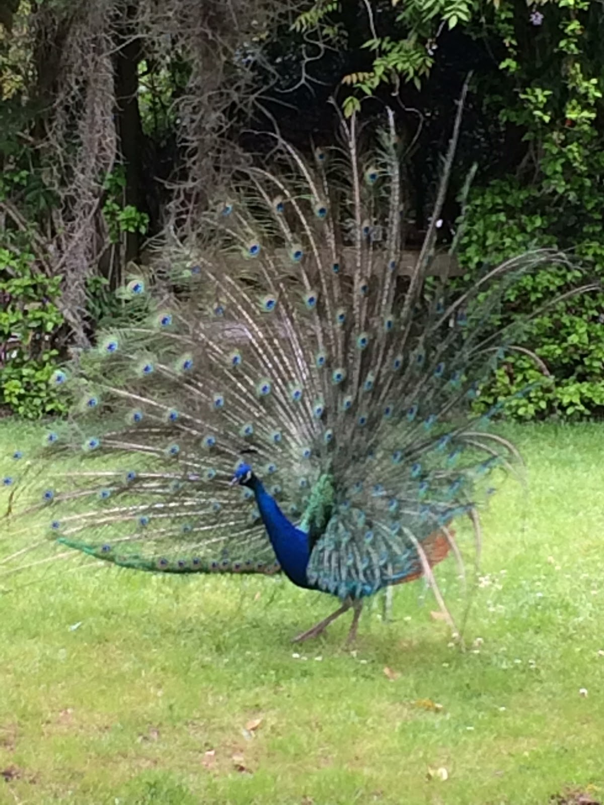 STYLE Dot: How to take outfit inspiration from nature