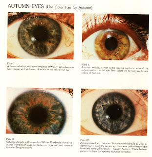 Beauty and Elegance: The Autumn Eye