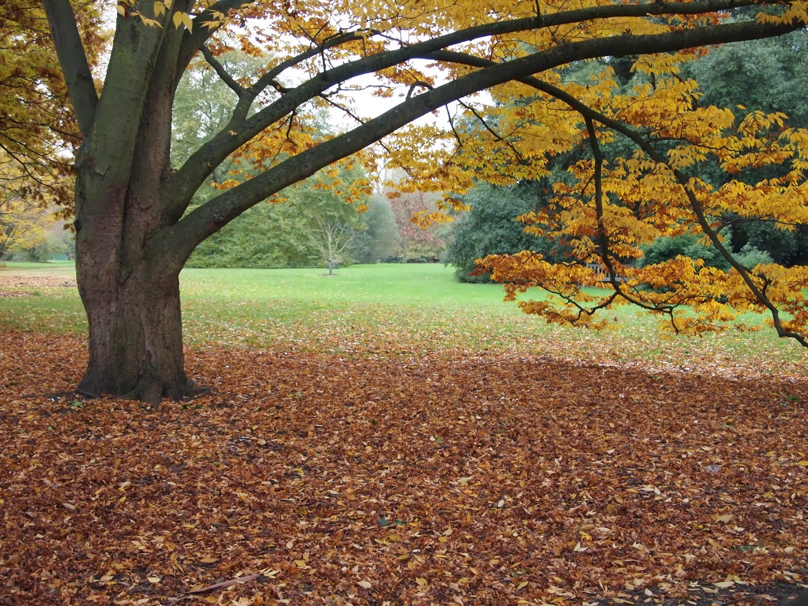 Inspirational Gardens in London. England and around the world: Royal ...