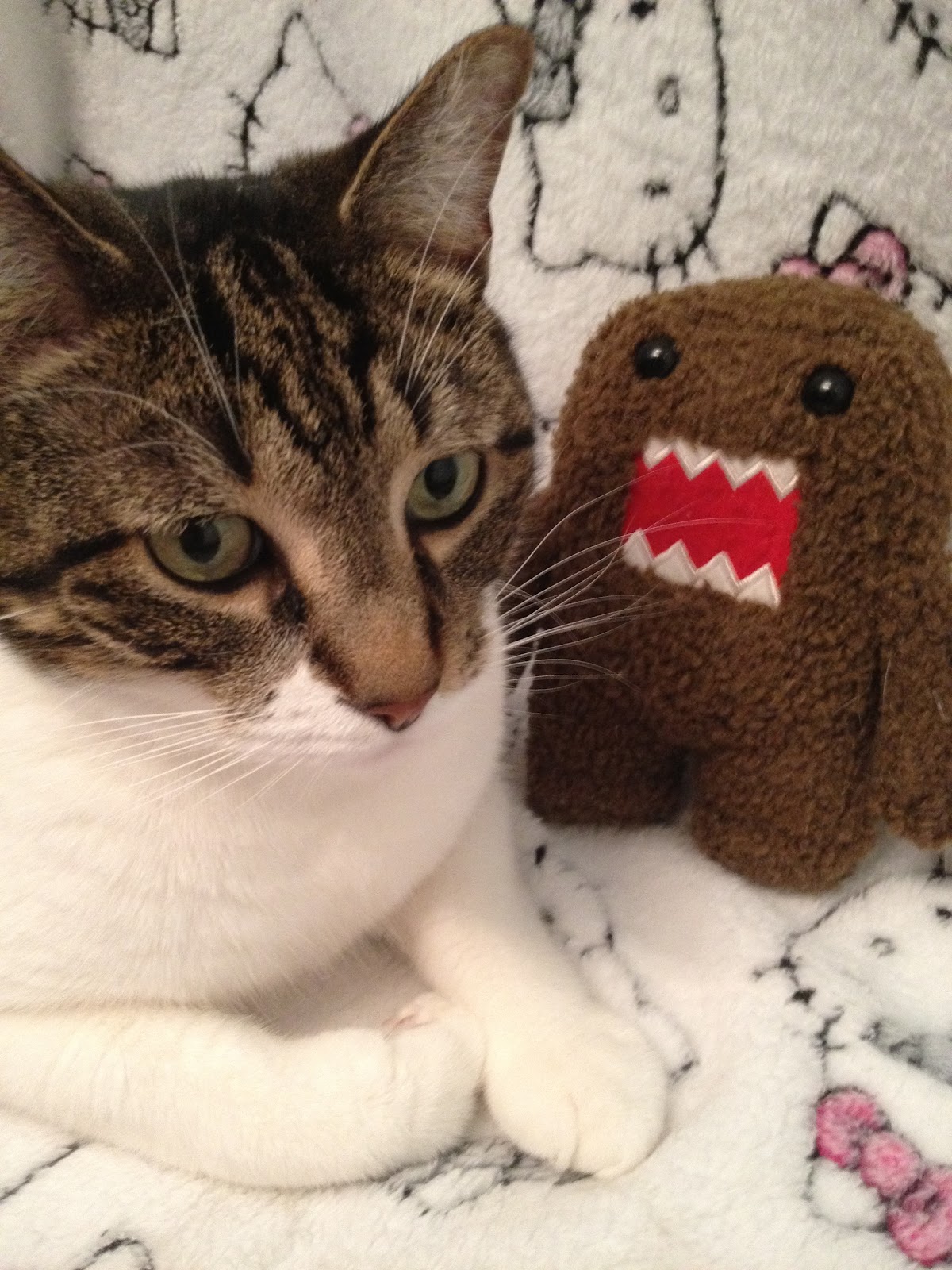 Strawberry ♥ Clover: Domo My ♥