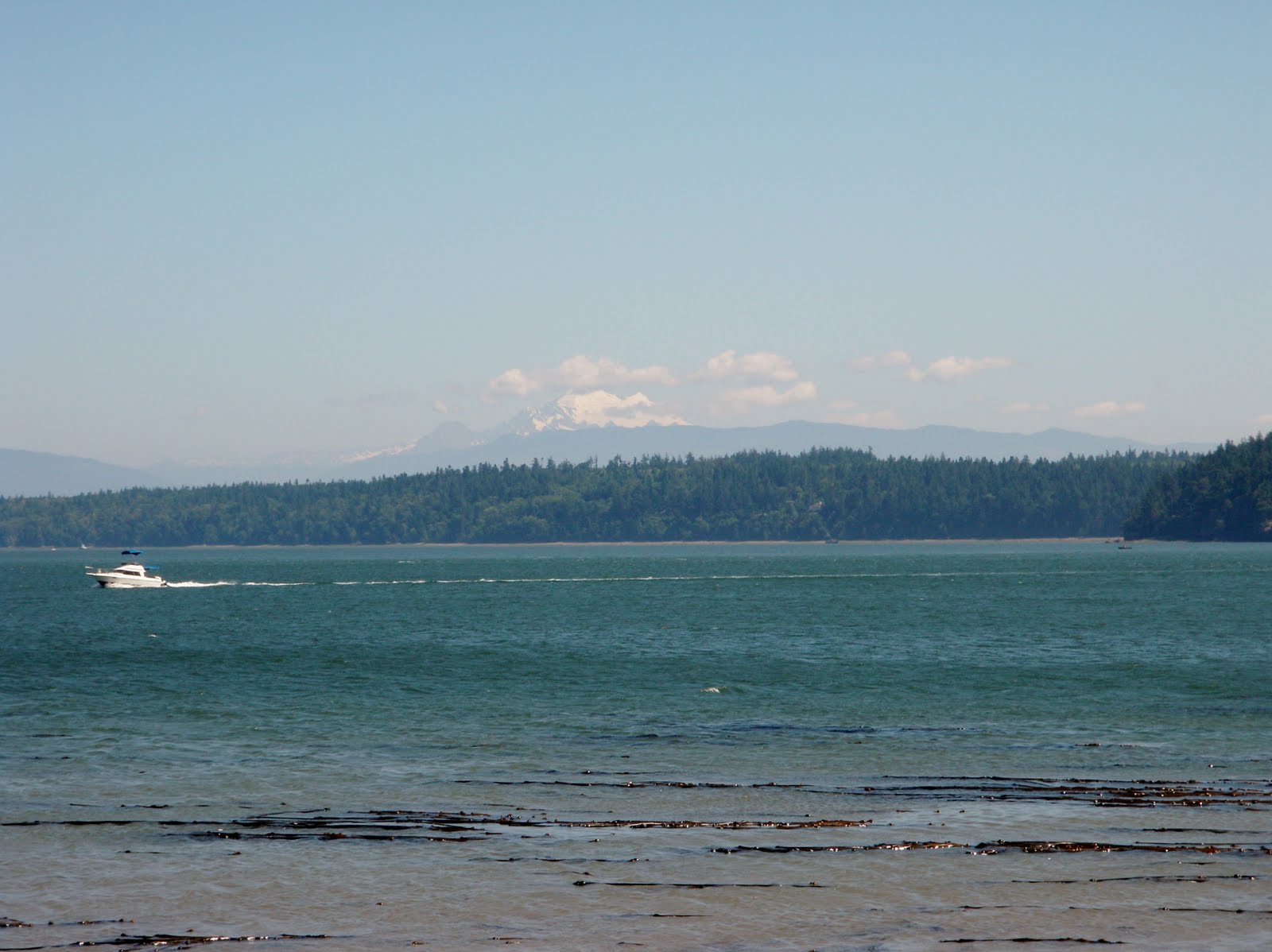 Pacific Northwest Seasons: Sea Kayaking Northern Skagit Bay: Seals ...