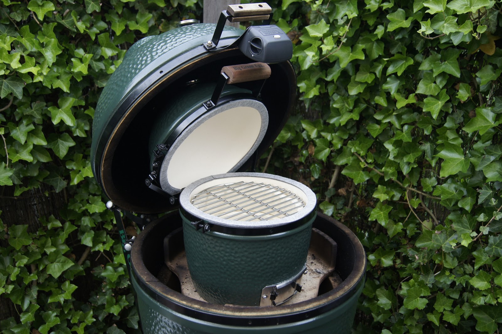 Pitmaster X: Unboxing the big green egg mini