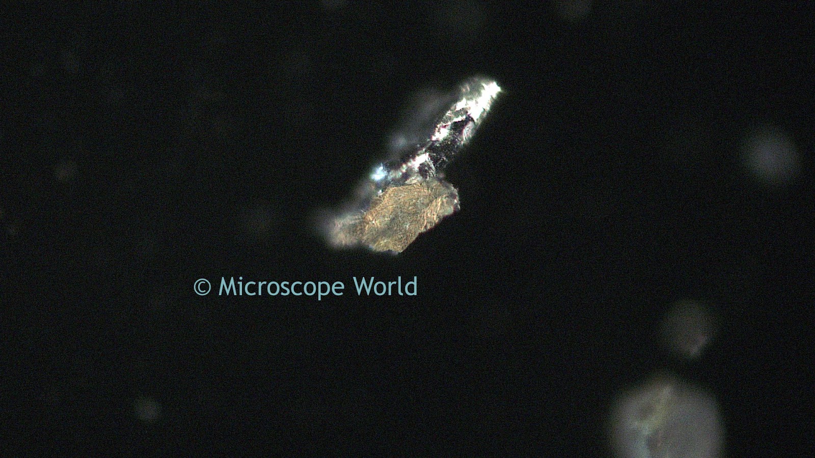 Microscope World Blog: Ore Under the Microscope