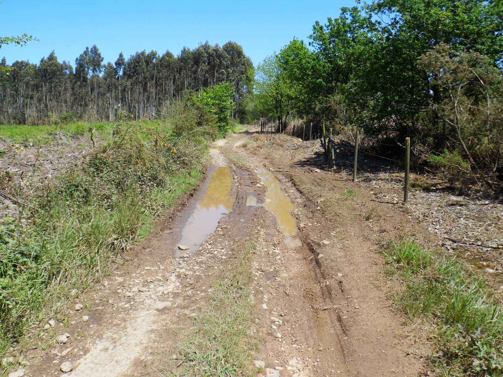 Senda BTT: Apeadero FEVE de Avilés - Embalse de Trasona - Monte'l Pando ...