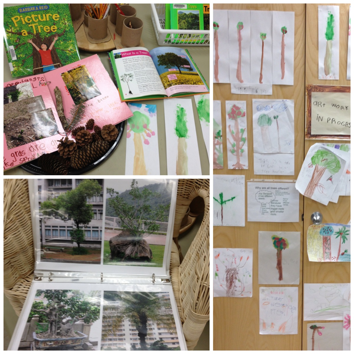 Inquiry Spaces | Transforming our Learning Environment into a Space of ...