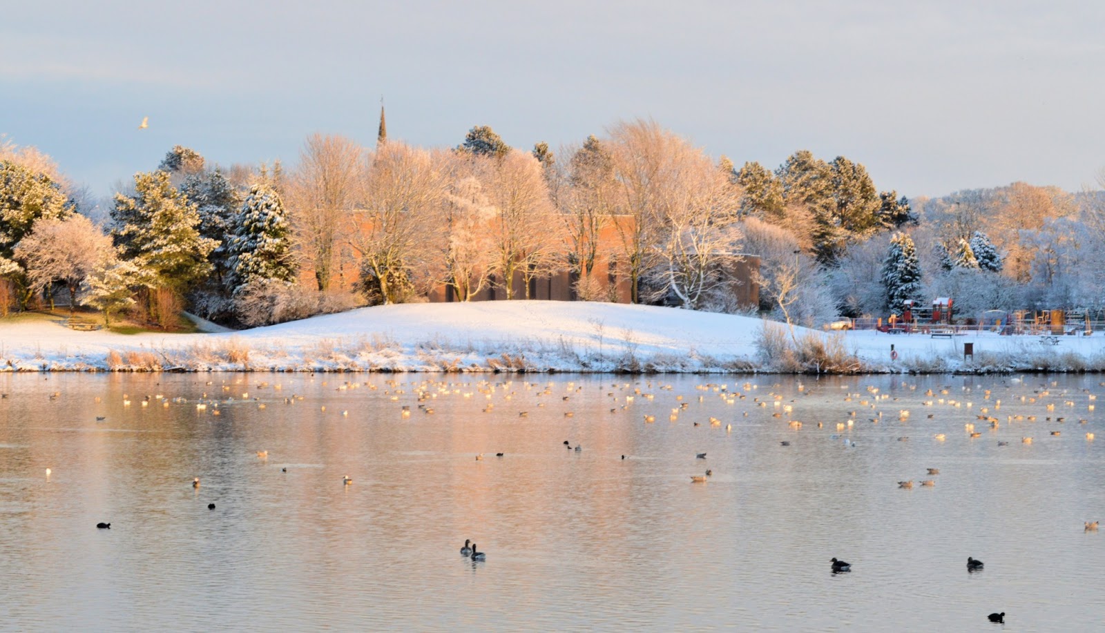 Aberbrothock: Forfar Loch in the snow