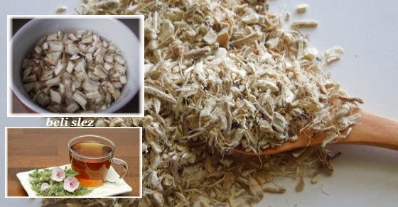 prirodno lecenje biljem