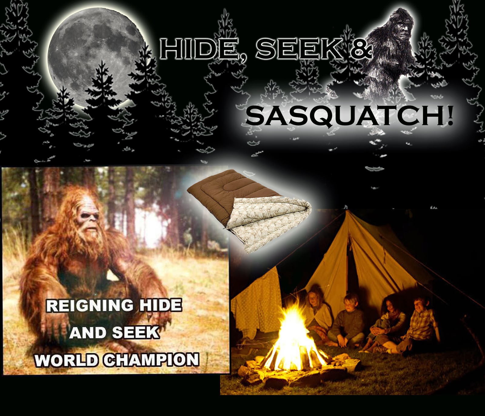 In A Nutshell: Hide, Seek and Sasquatch...by Gina Waite