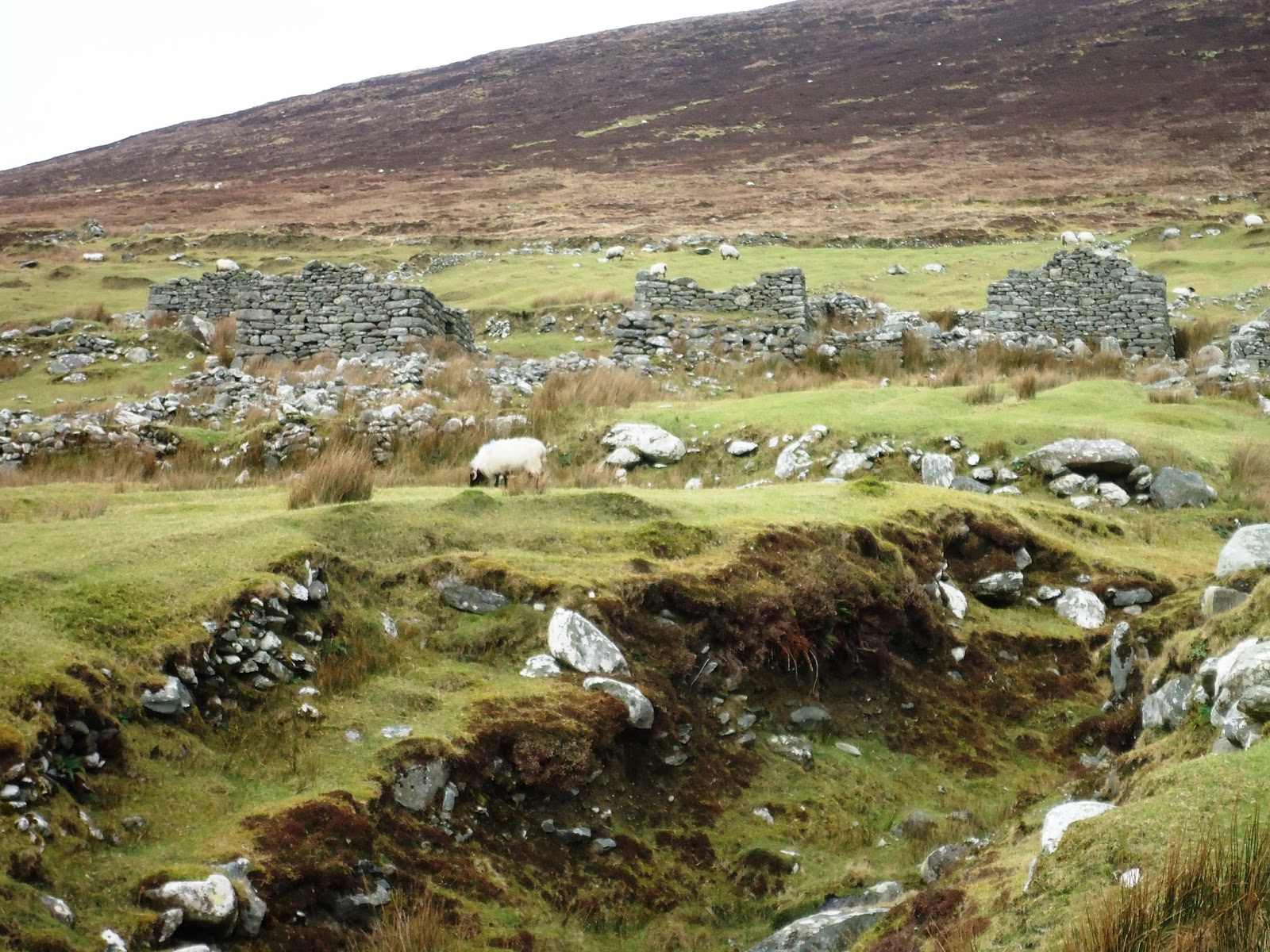 Patrick Comerford: Edward Nangle (1800-1883): The Achill Missionary in ...