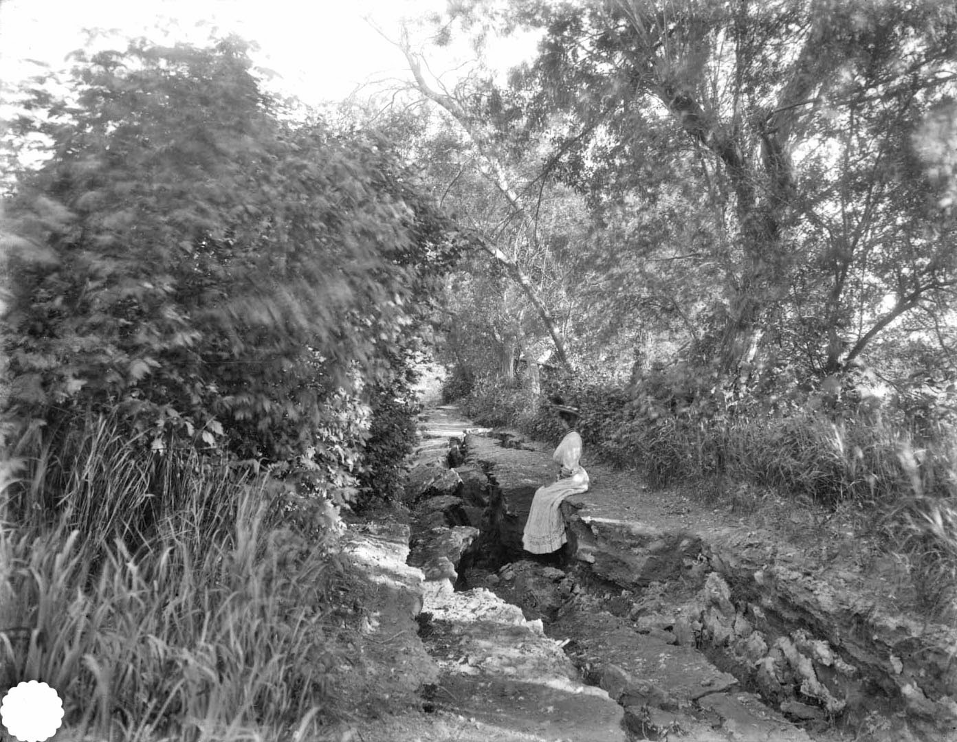History in Photos: San Francisco Earthquake