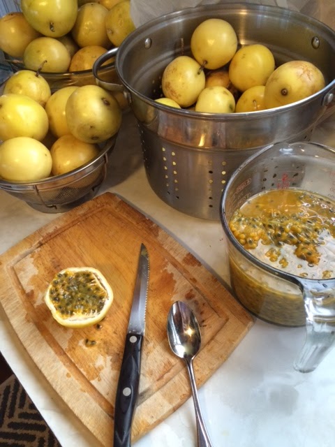 Honey From Rock: Making Passion-fruit Mead