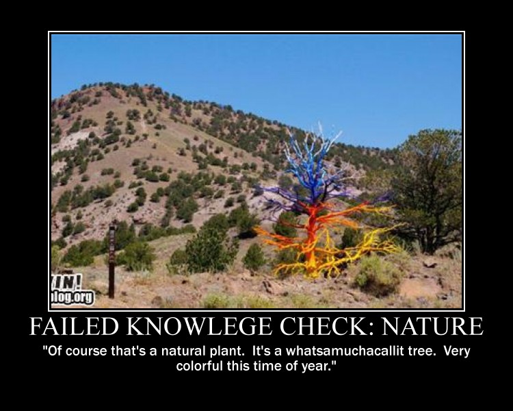 The Looney DM: Failing Knowledge Checks